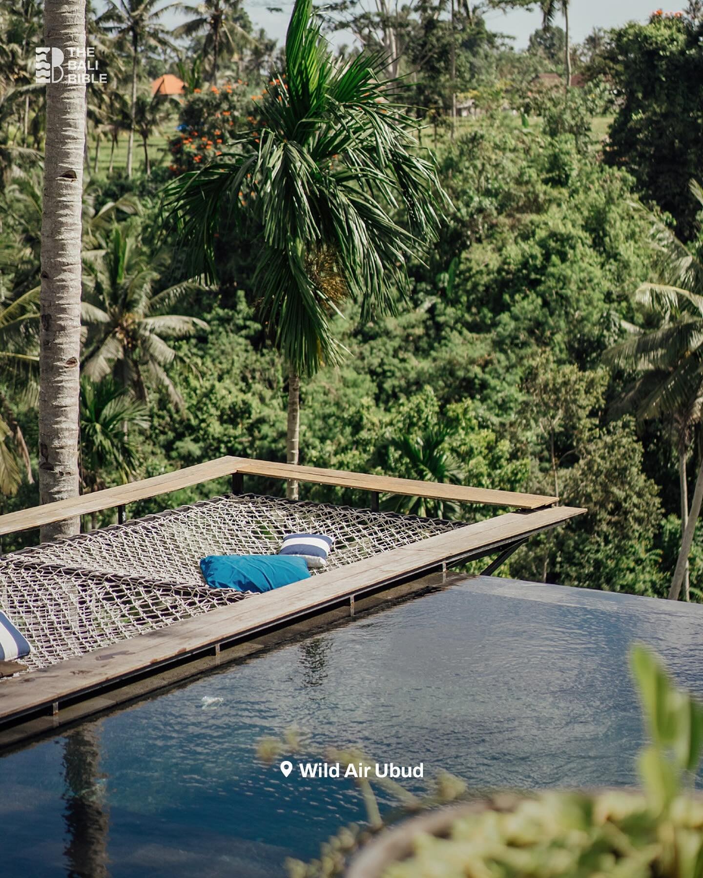 Bali Wildlife Photography Tips - Bali Seminyak | Daily Bali News