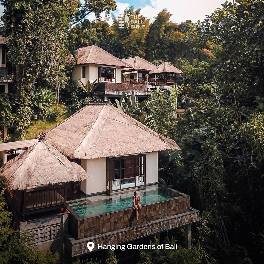 Bali Diving Sites With Vibrant Marine Life - Bali Seminyak | Daily Bali ...