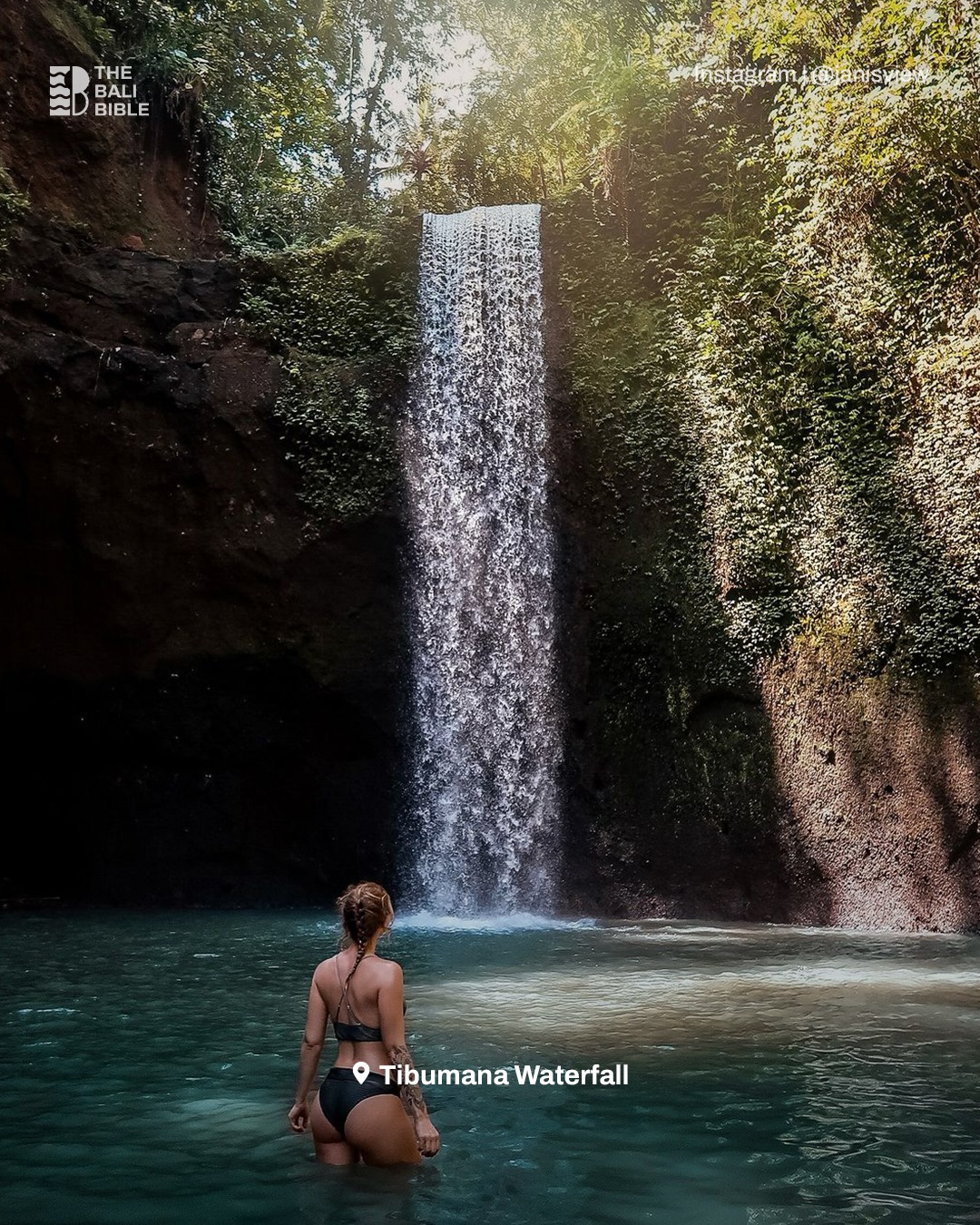 Impact Of Climate Change On Bali Marine Life - Bali Seminyak | Daily ...